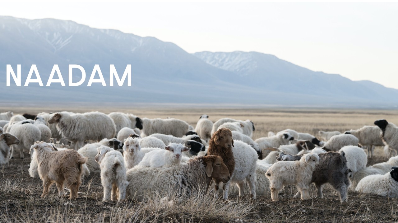 How Naadam is managing cash flow and making the most out of cheaper ad ...