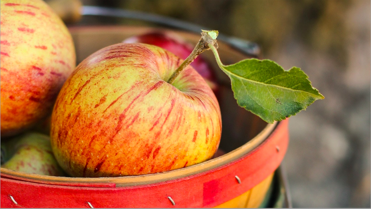 'Upcycled' food ingredients gain traction among beauty brands