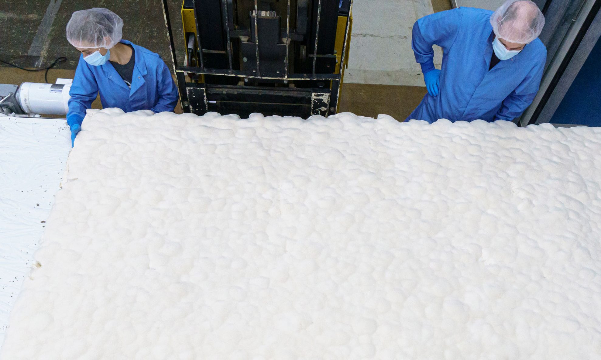 Ecovative is making mycelium leather accessible for Calvin Klein